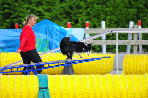 Pawsitive Steps Training Center